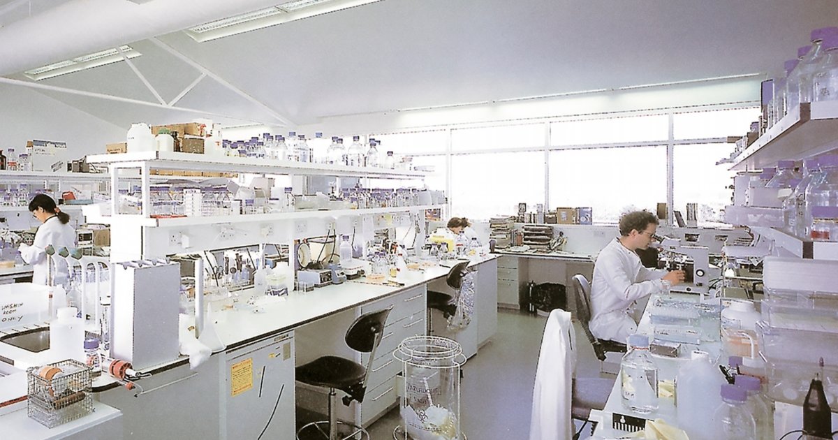 Pathology Laboratories - Projects - Nicholas Hare Architects