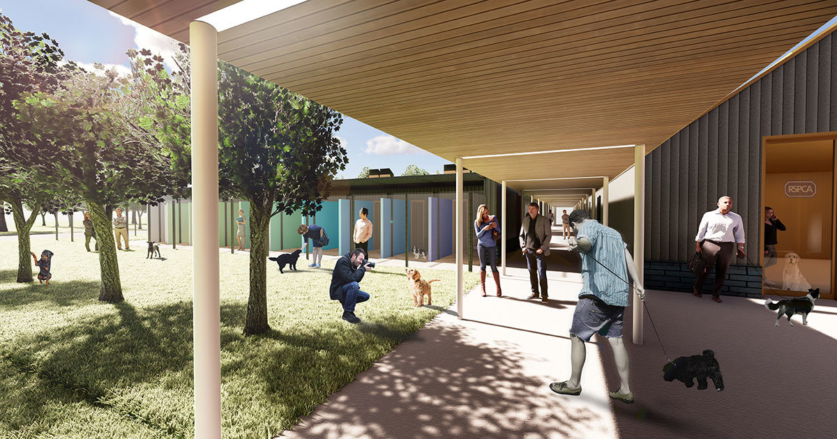 RSPCA Animal Centres of the Future - News - Nicholas Hare Architects